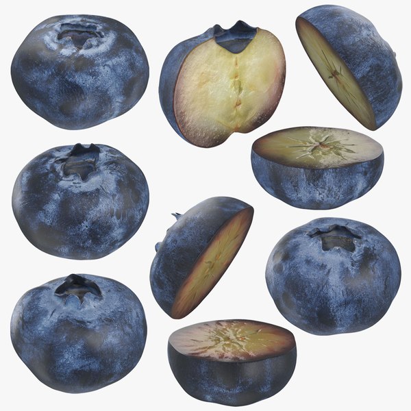 3D Blueberry Models | TurboSquid