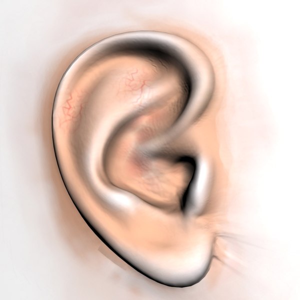 ear 3d max