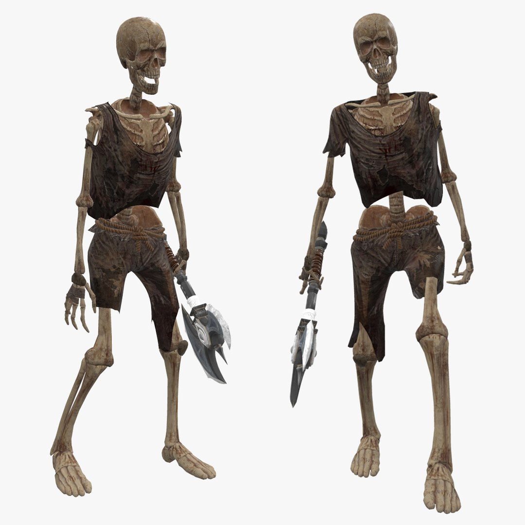 3D Model Skeleton Soldier Fighter - TurboSquid 2148674
