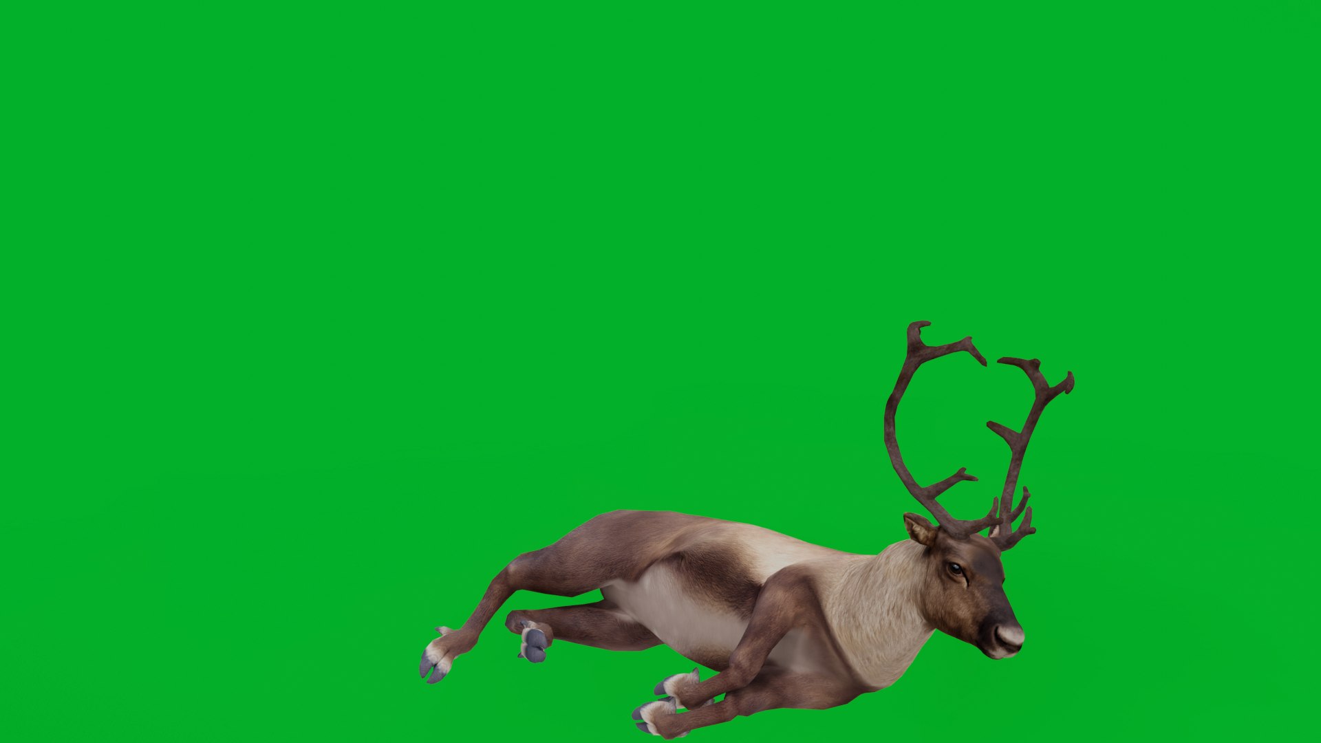 Reindeer 3D Model - TurboSquid 2501670