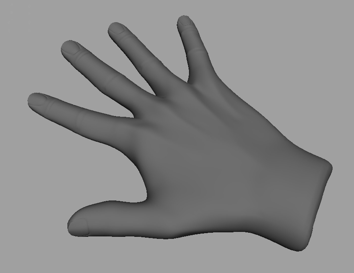 3d Human Hand Model