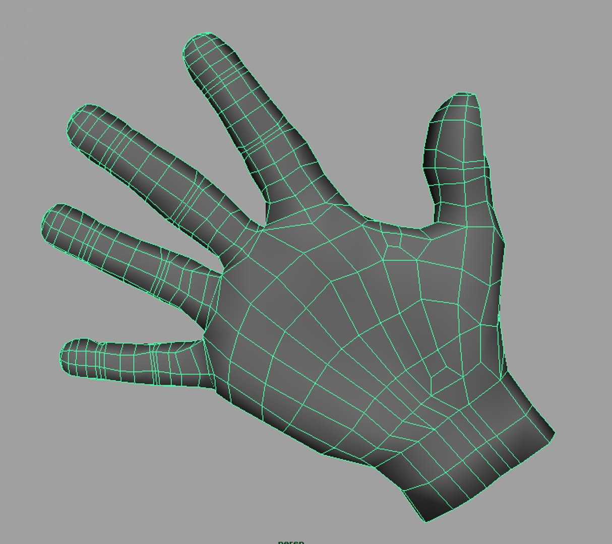 3d Human Hand Model