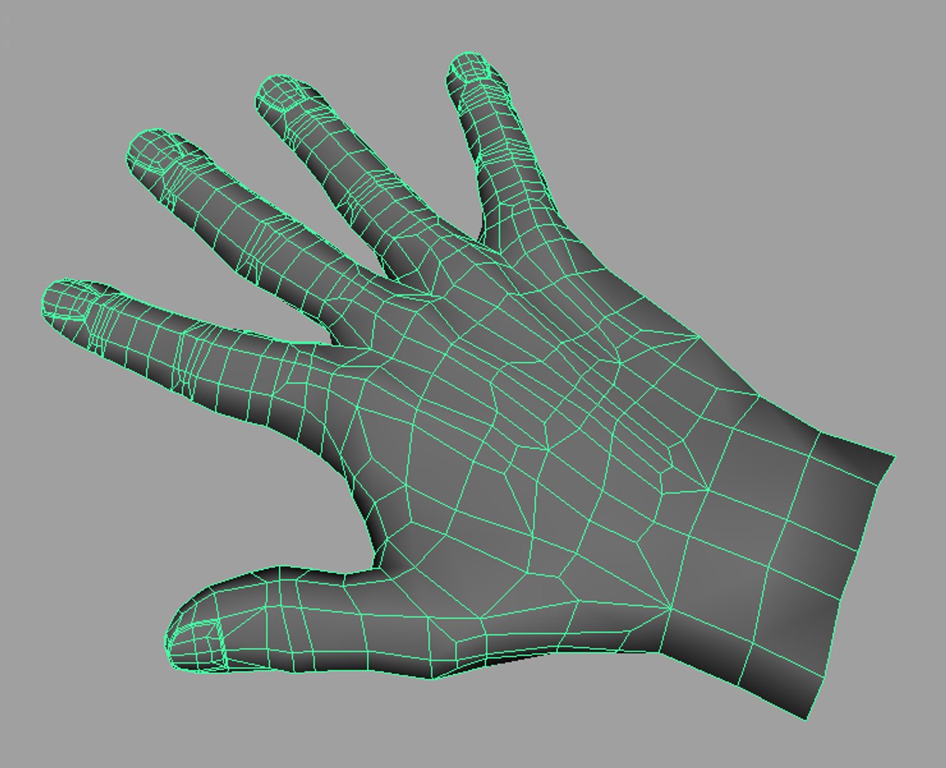 3d Human Hand Model
