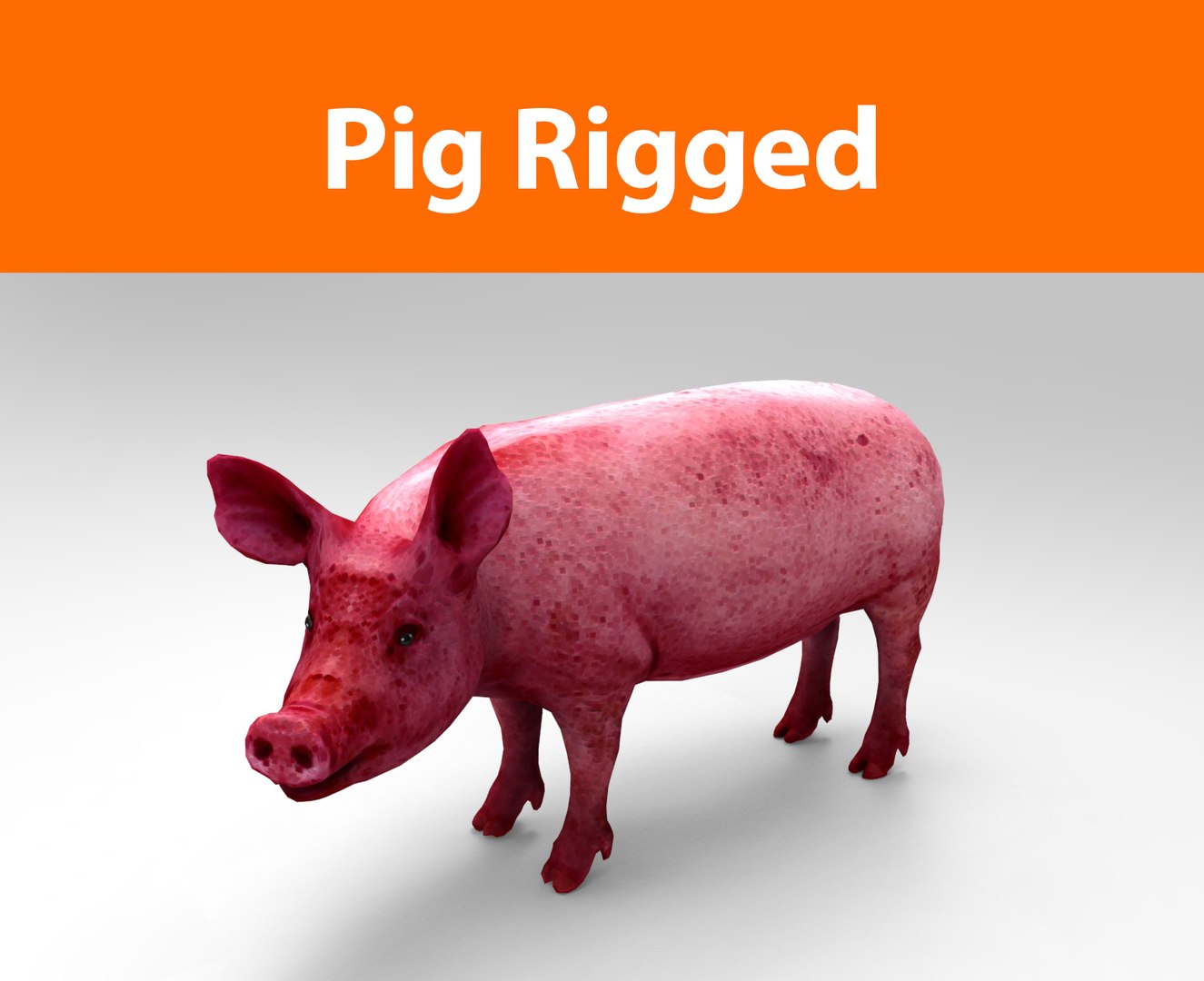 Pig Rigged 3d Max