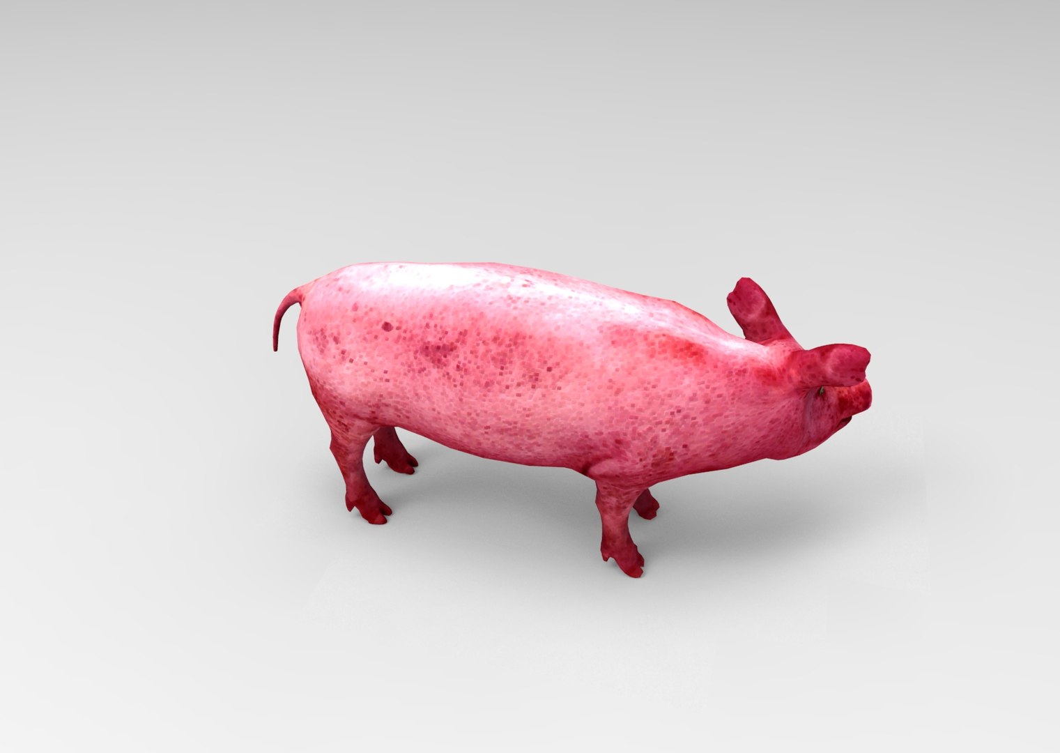 Pig Rigged 3d Max