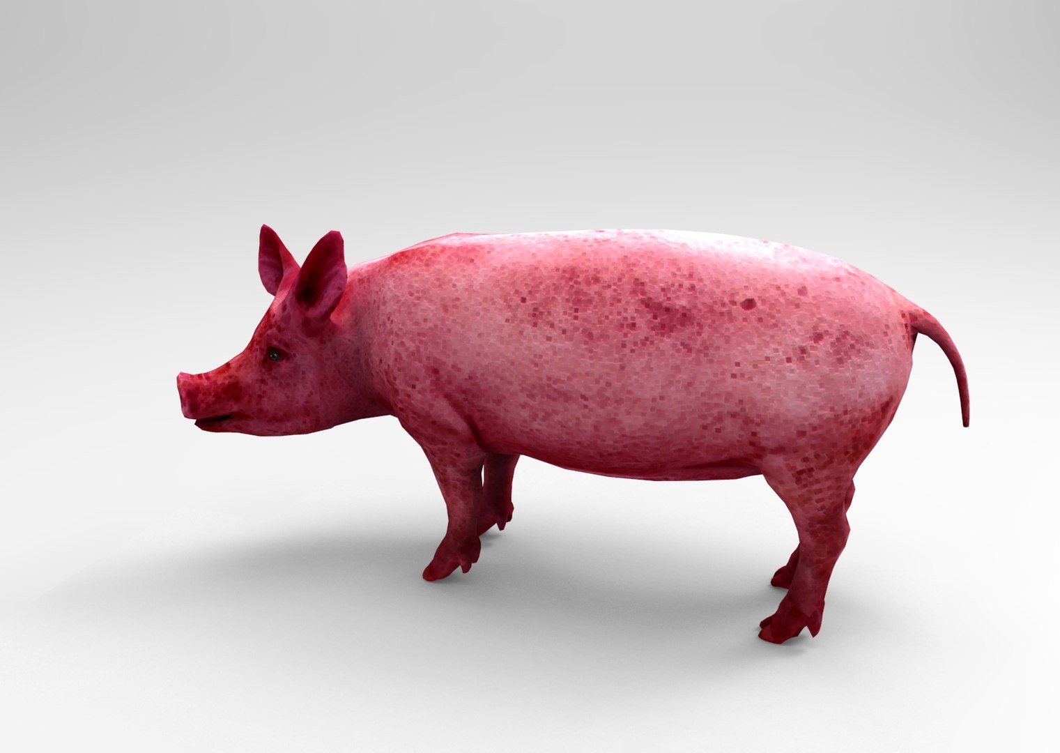 Pig Rigged 3d Max