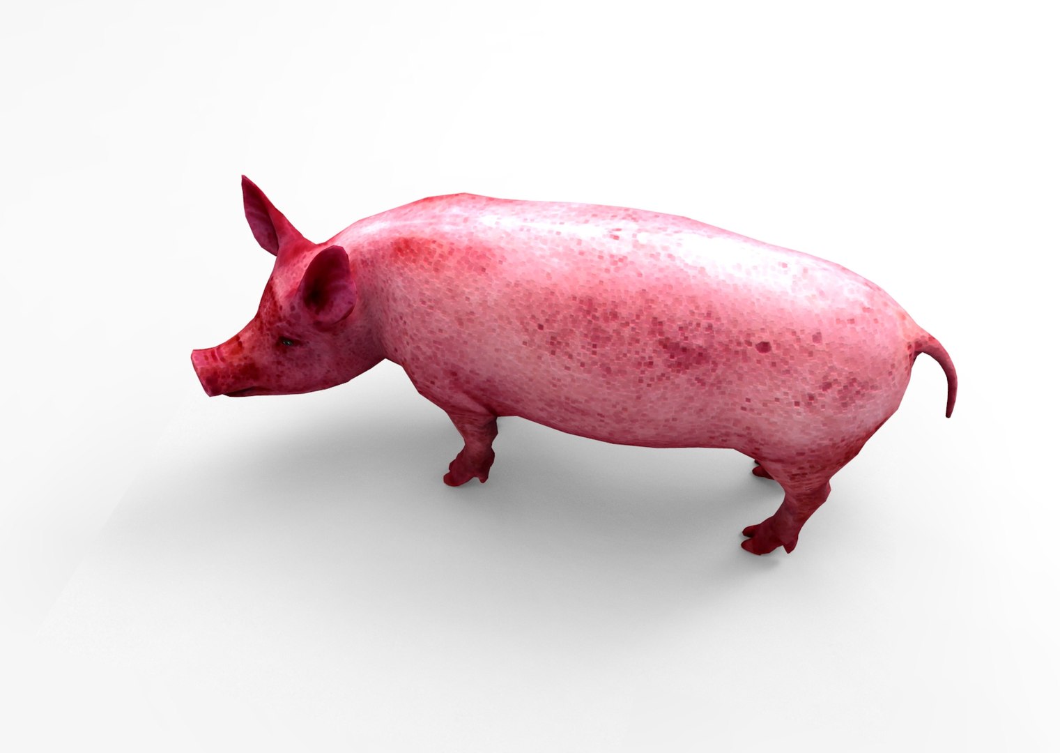 Pig Rigged 3d Max