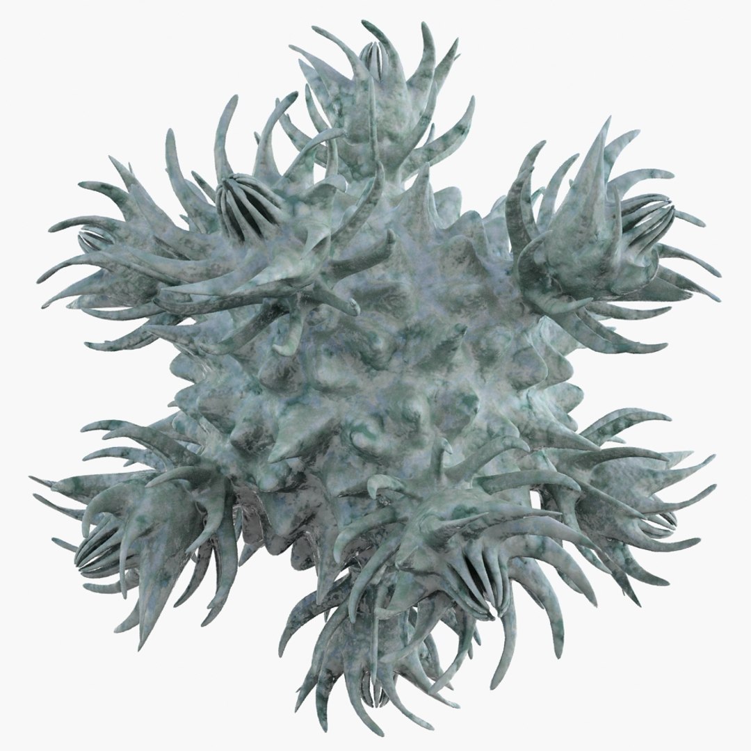 micro object mht 3d model