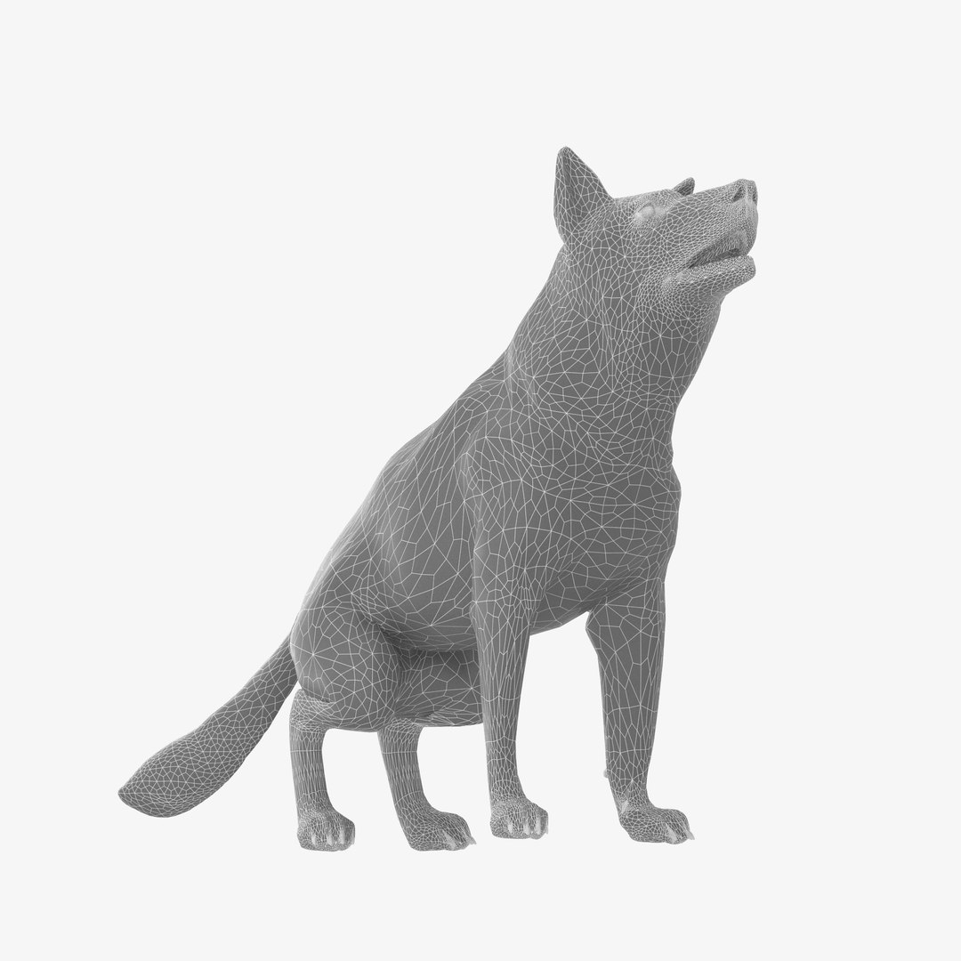 Realistic Husky Rigged 3d Model
