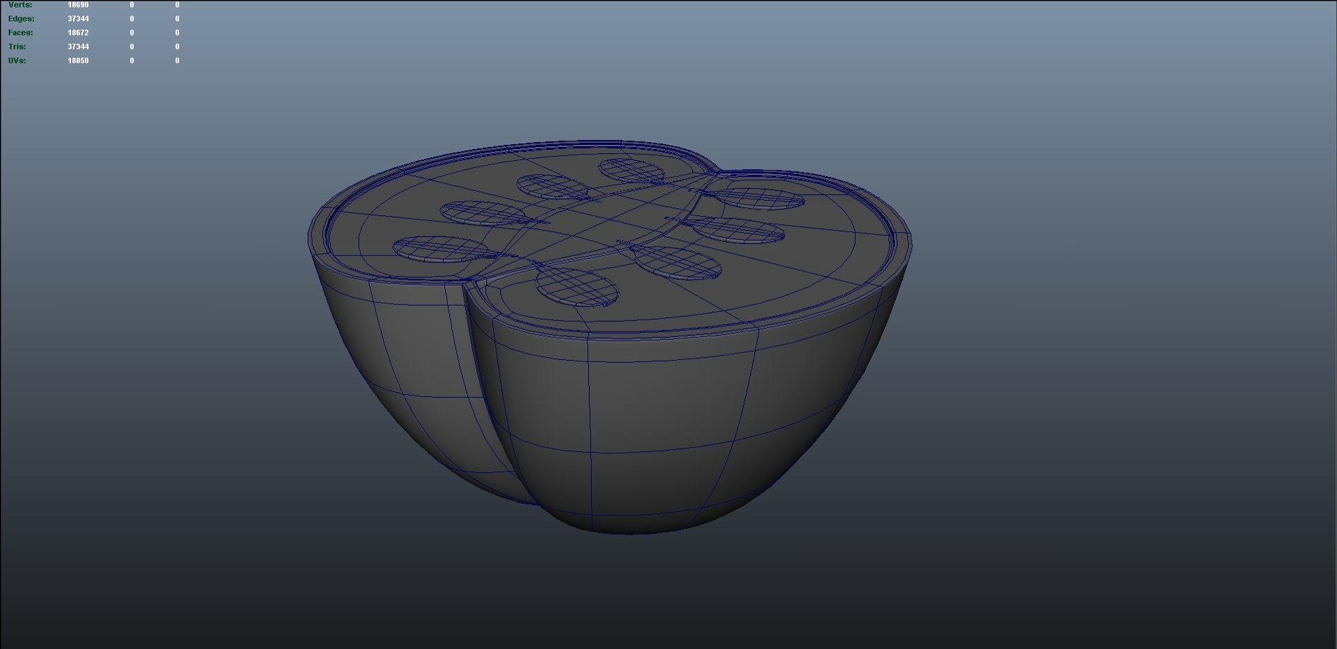 3D Biology Bilocular Ovaries - TurboSquid 1264416