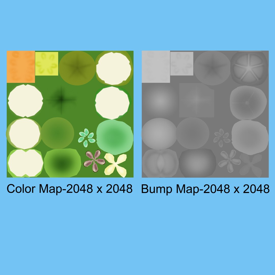 3D Biology Bilocular Ovaries - TurboSquid 1264416