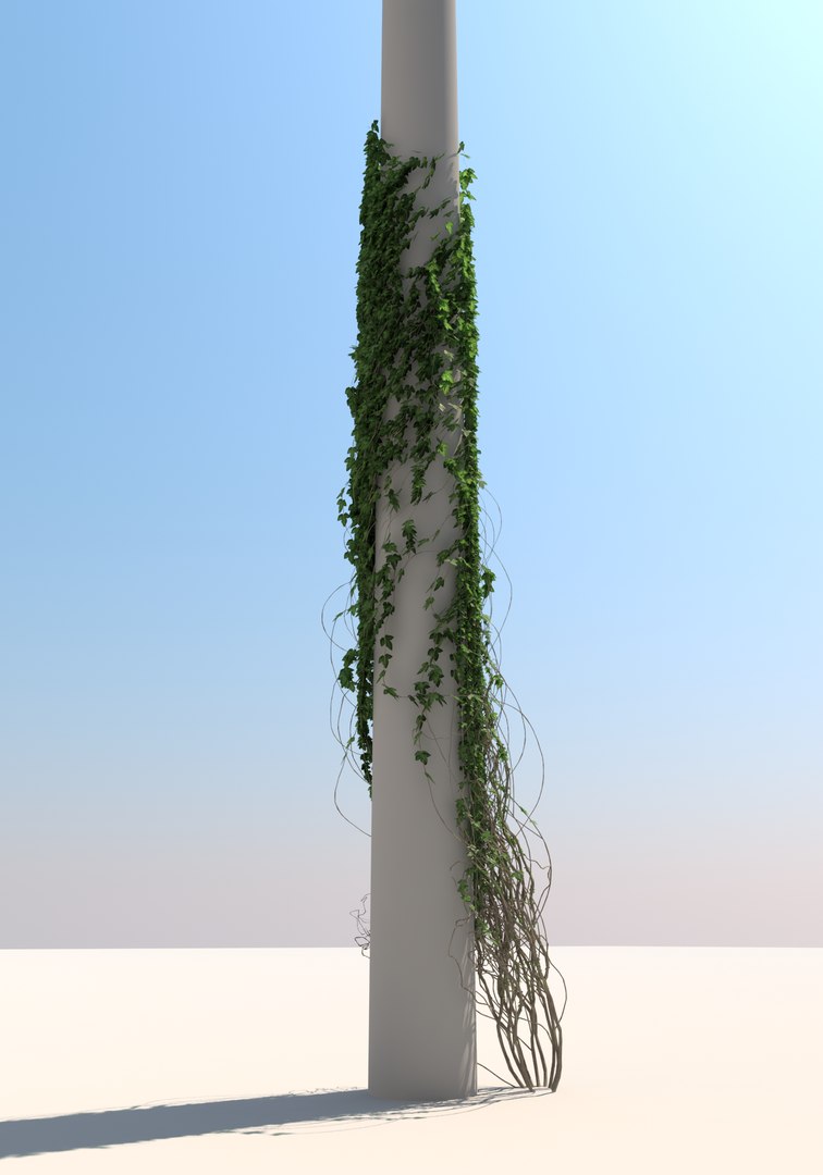 3d Ivy Wall Column Model