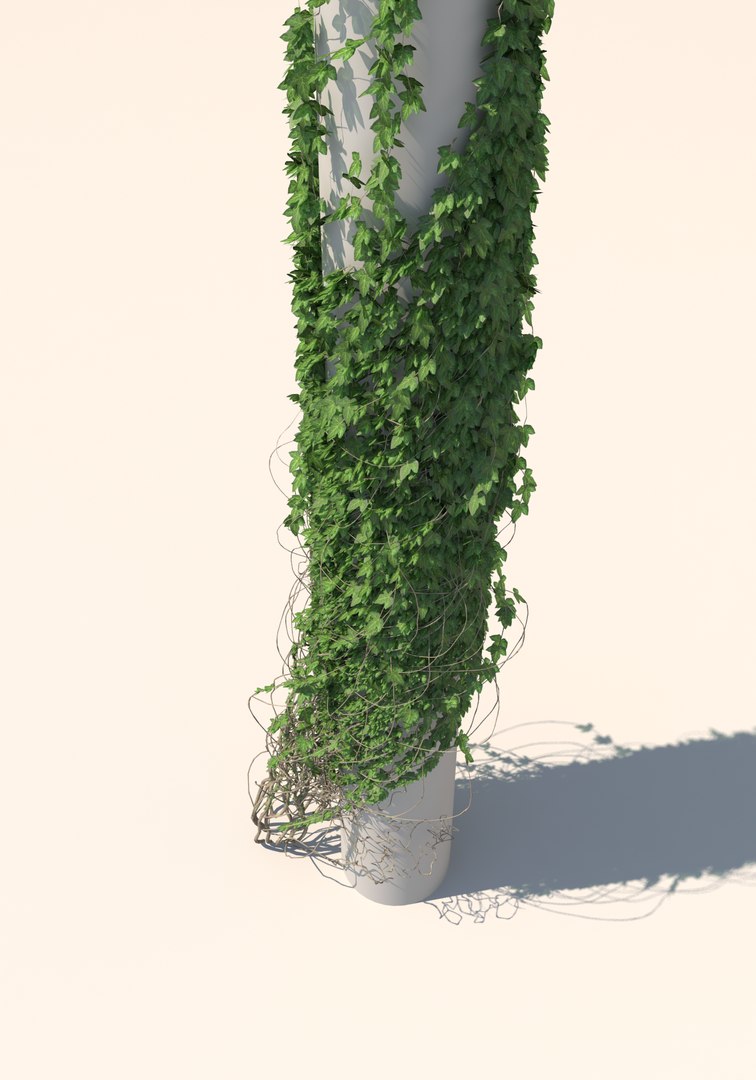 3d Ivy Wall Column Model