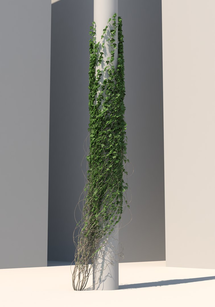 3d Ivy Wall Column Model