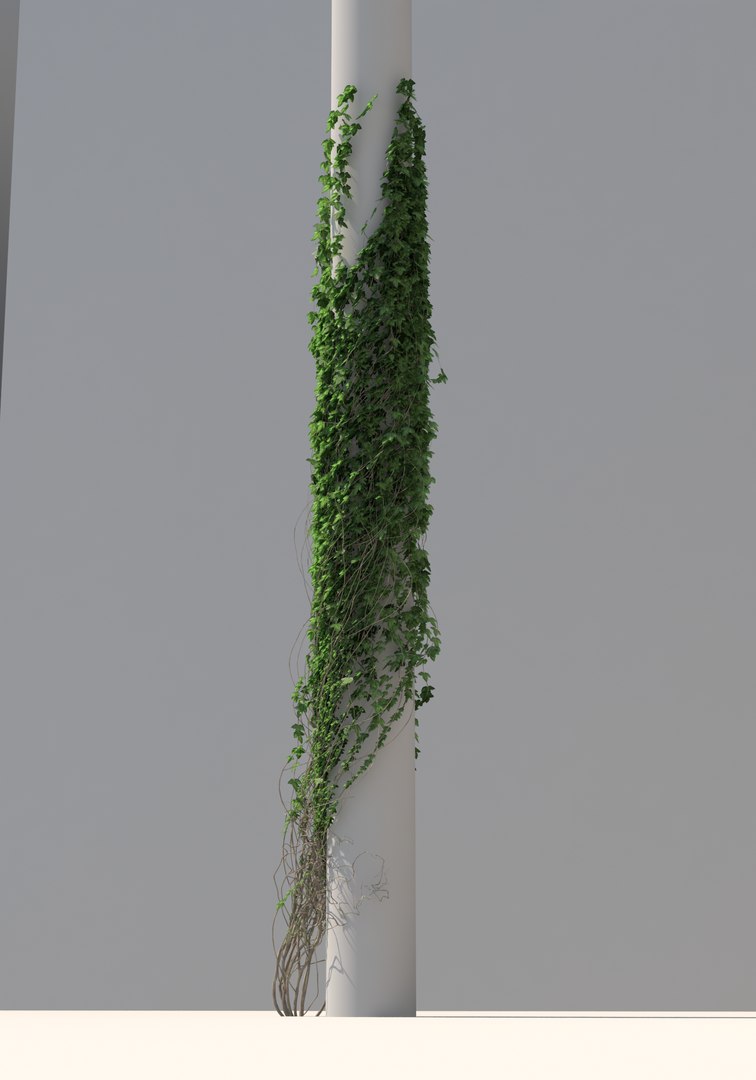 3d Ivy Wall Column Model