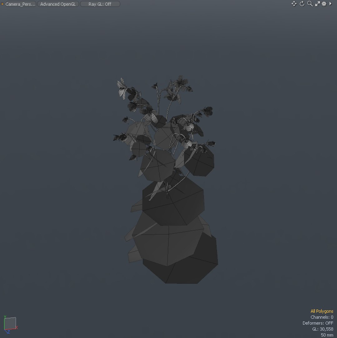 Geranium Pratense 3d X