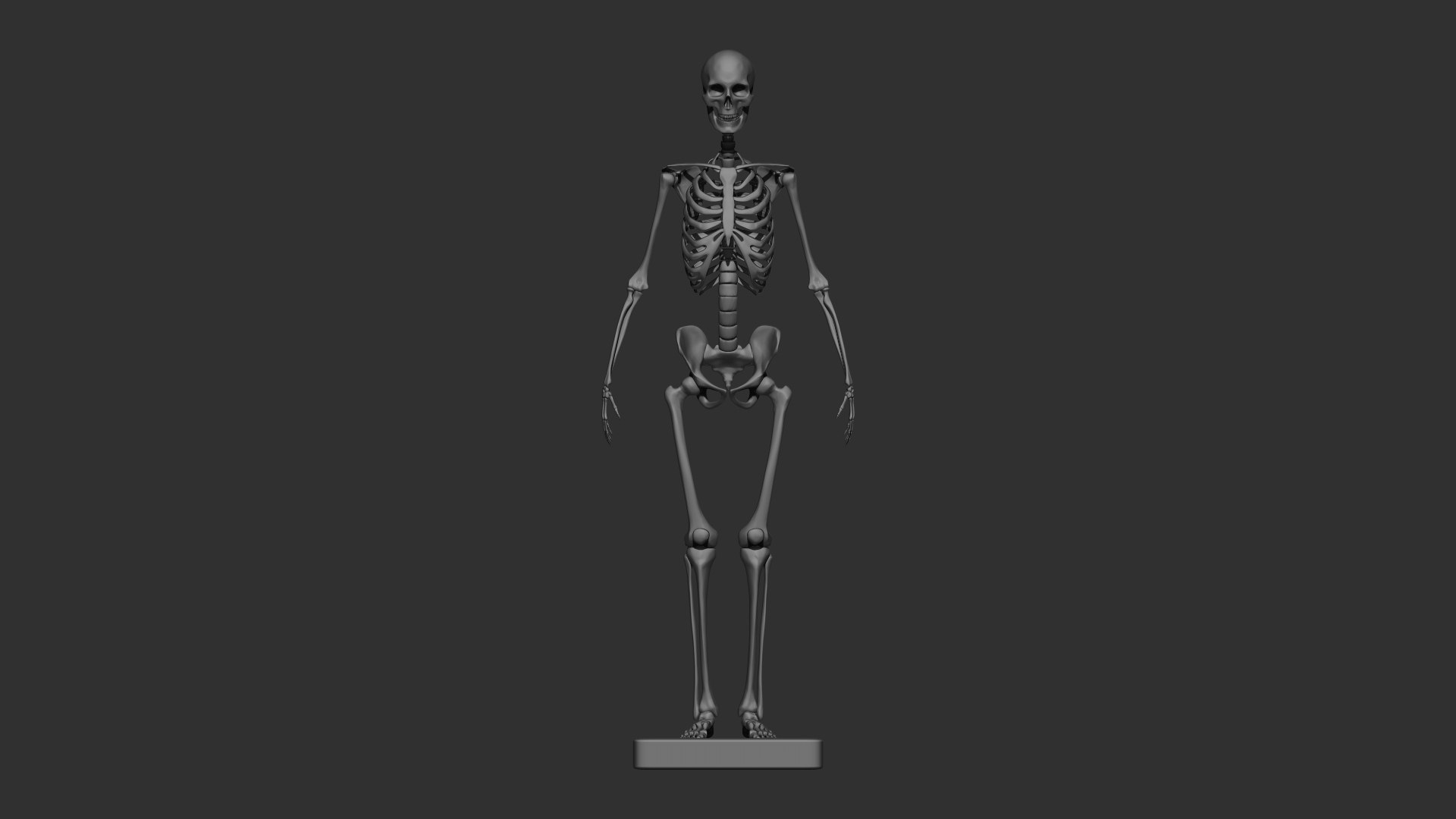 3D Female Skeleton 3d Print - TurboSquid 1922979