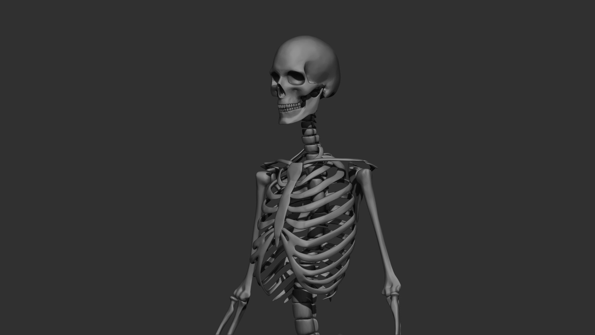 3D Female Skeleton 3d Print - TurboSquid 1922979