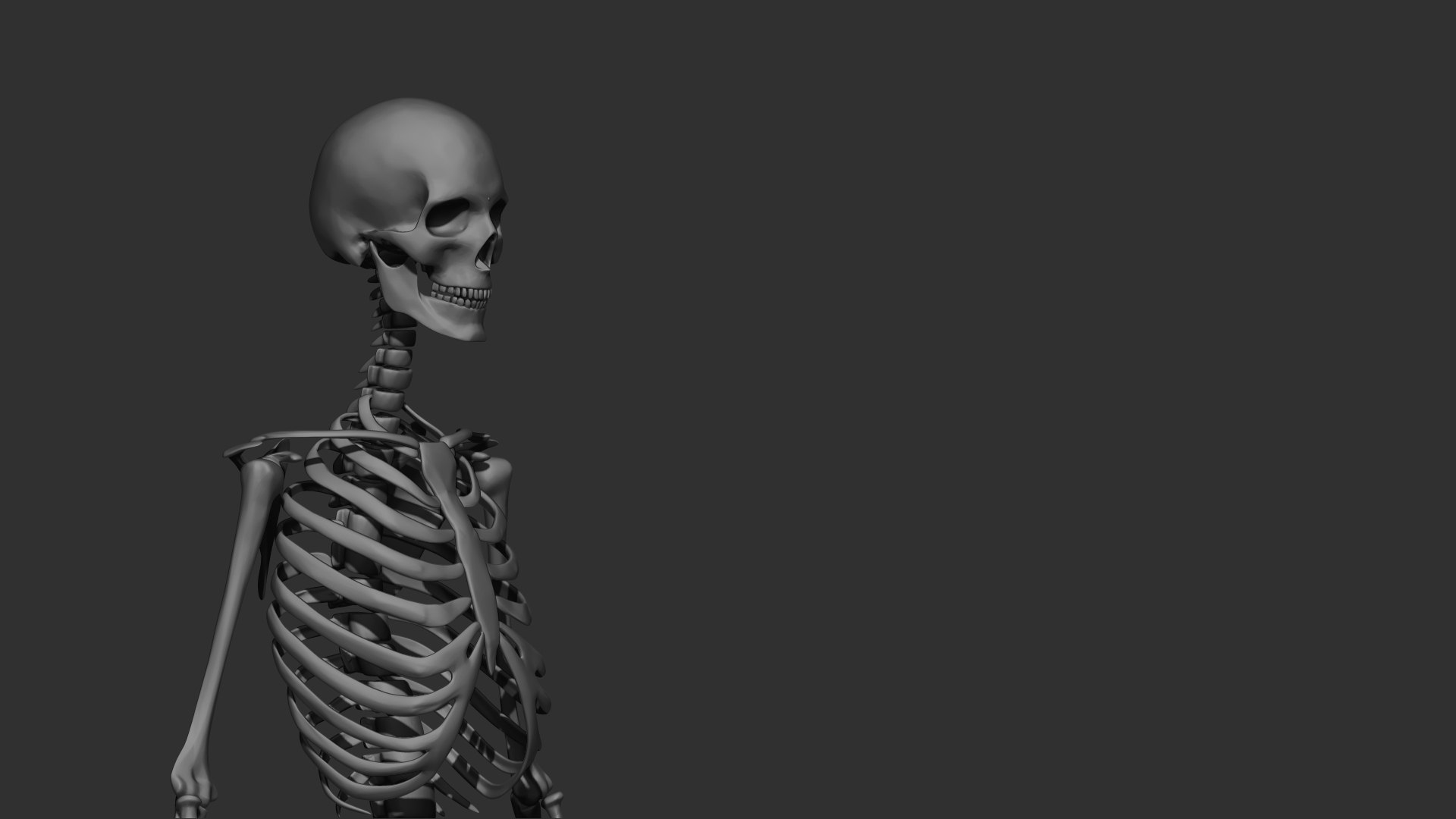 3D Female Skeleton 3d Print - TurboSquid 1922979