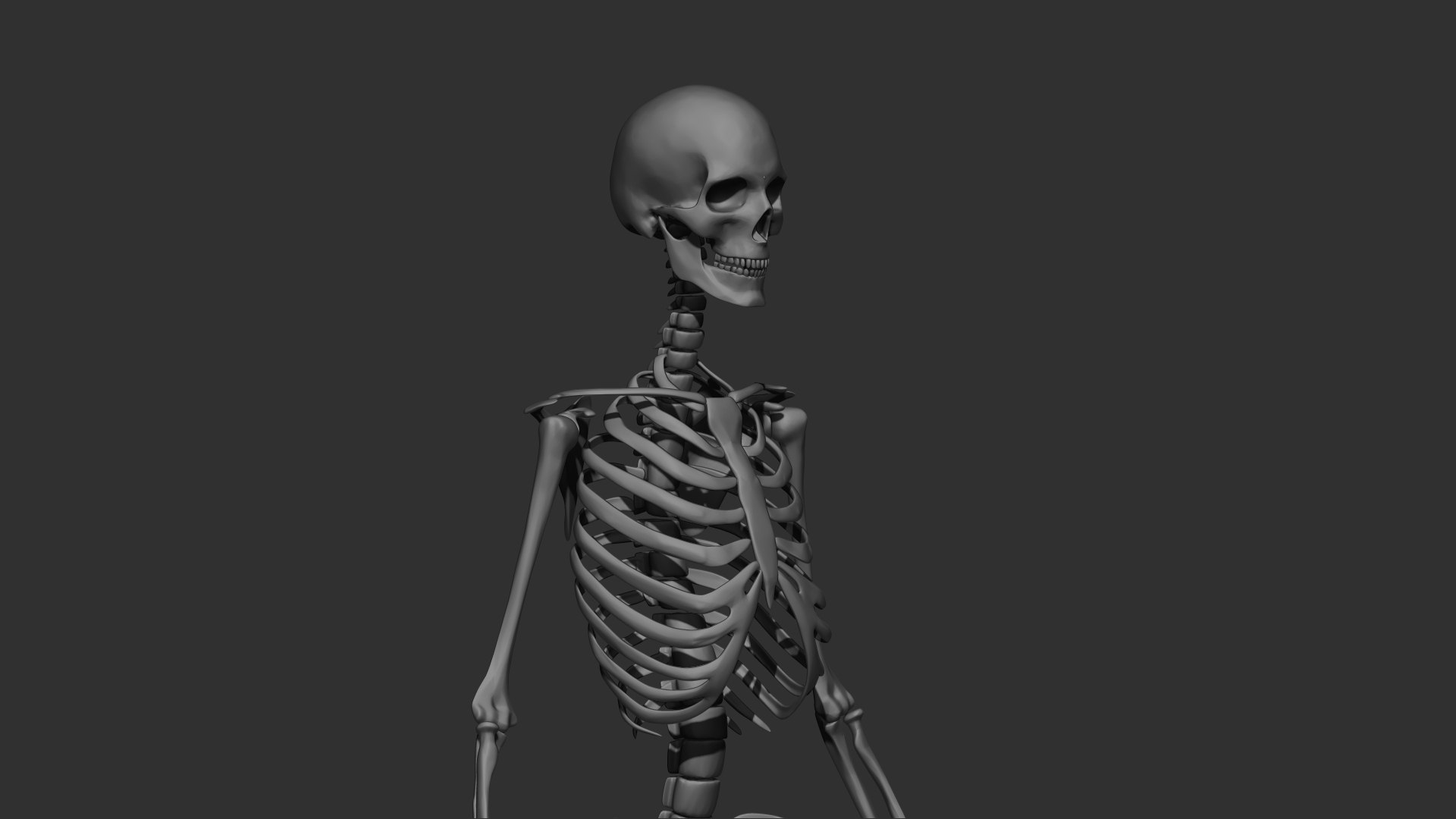 3D Female Skeleton 3d Print - TurboSquid 1922979