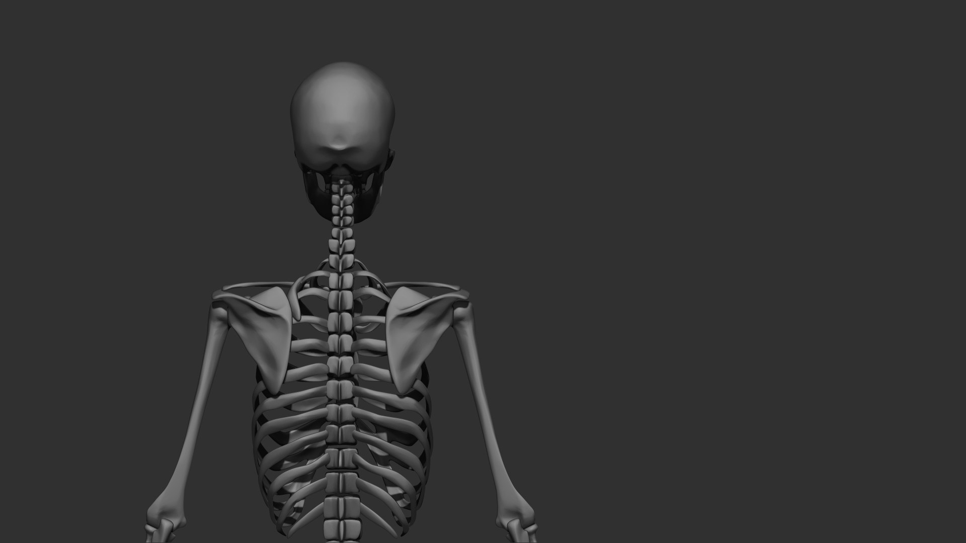 3D Female Skeleton 3d Print - TurboSquid 1922979