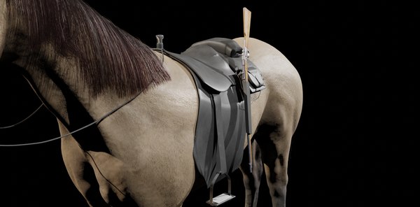 SADDLE SET UP HIGH POLY 3D 모델 - TurboSquid 1990066