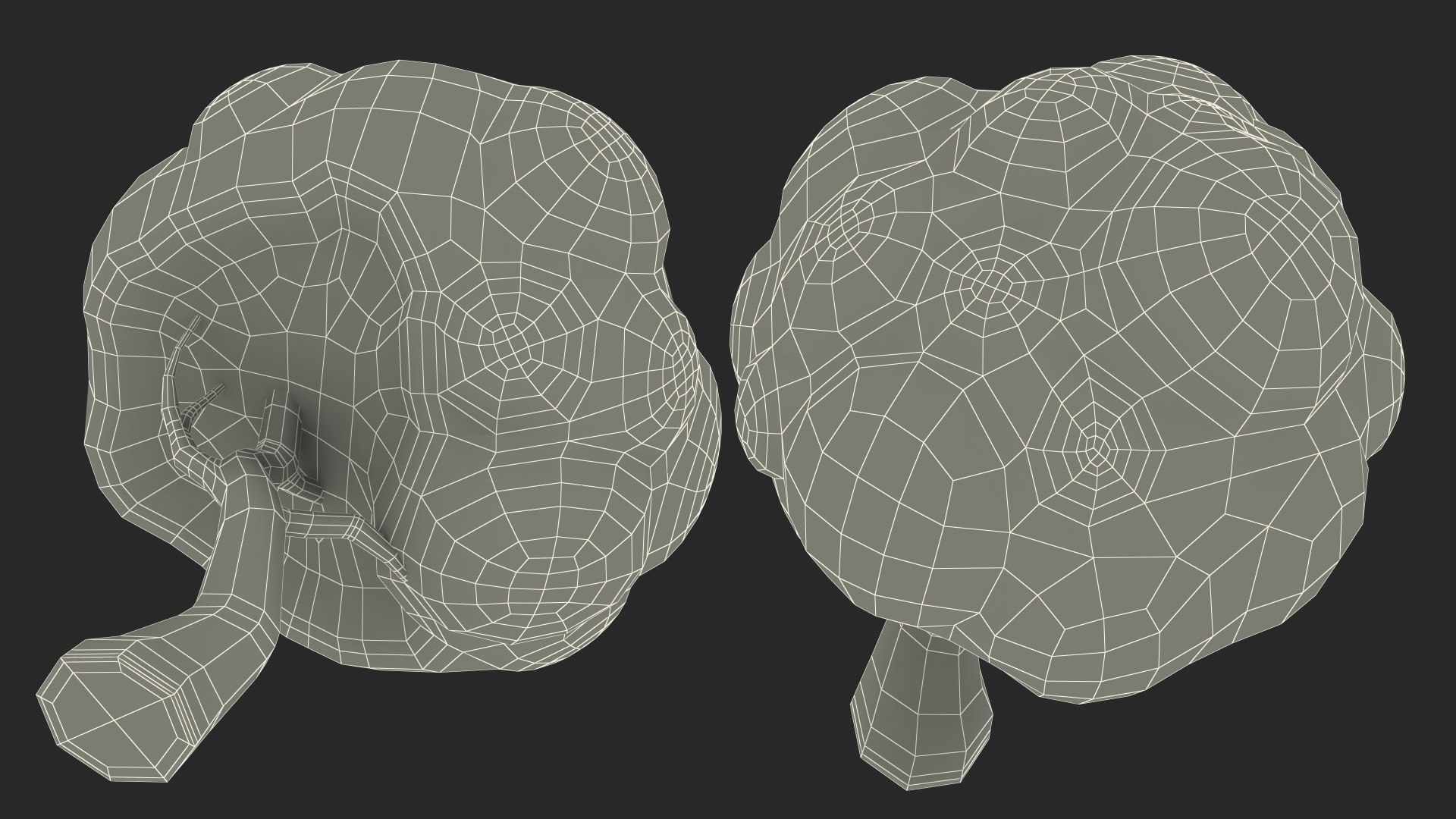 Cartoon Maple Tree Simple Coloring 3D - TurboSquid 2169100