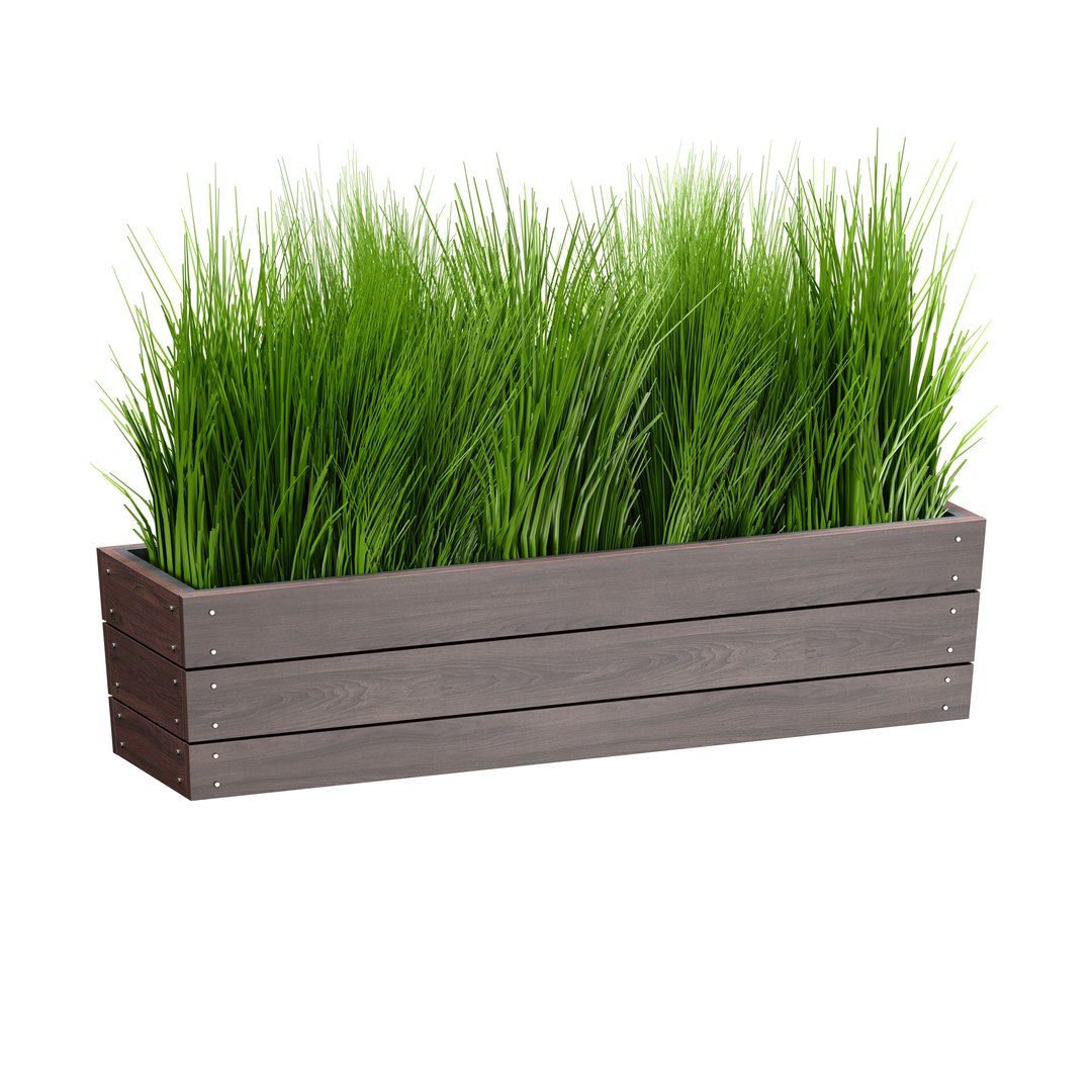 Grass in pots Plants in boxes model - TurboSquid 2153294