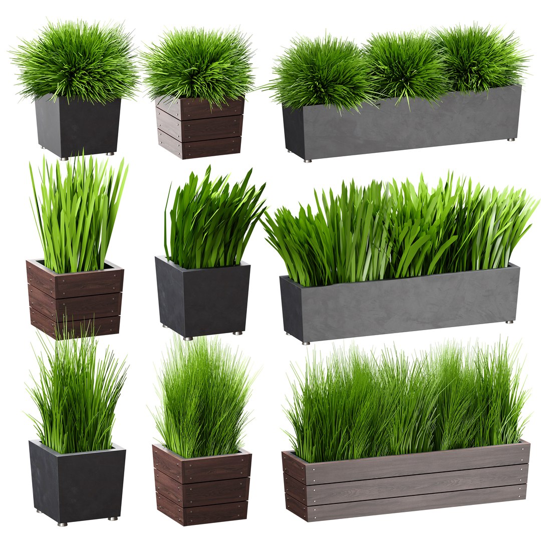 Grass in pots Plants in boxes model - TurboSquid 2153294