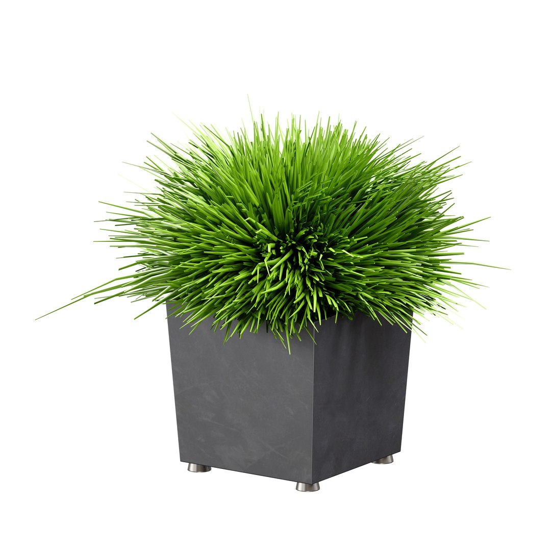 Grass in pots Plants in boxes model - TurboSquid 2153294