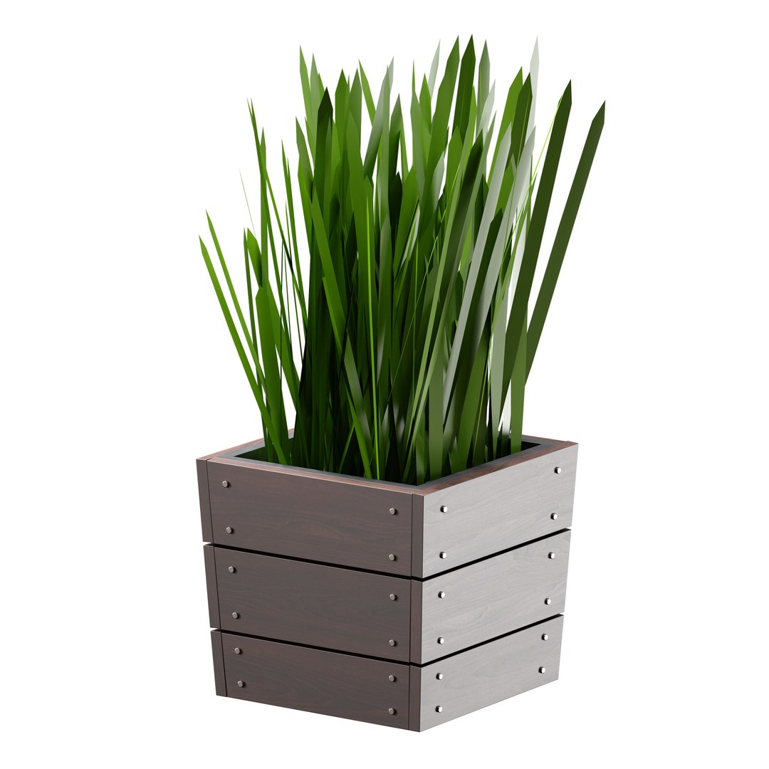 Grass in pots Plants in boxes model - TurboSquid 2153294