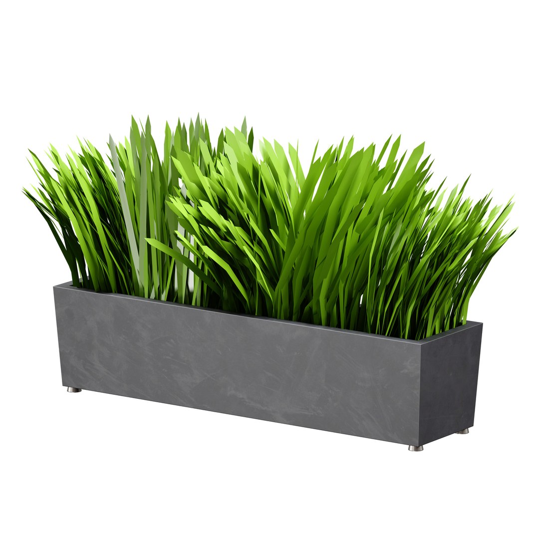 Grass in pots Plants in boxes model - TurboSquid 2153294