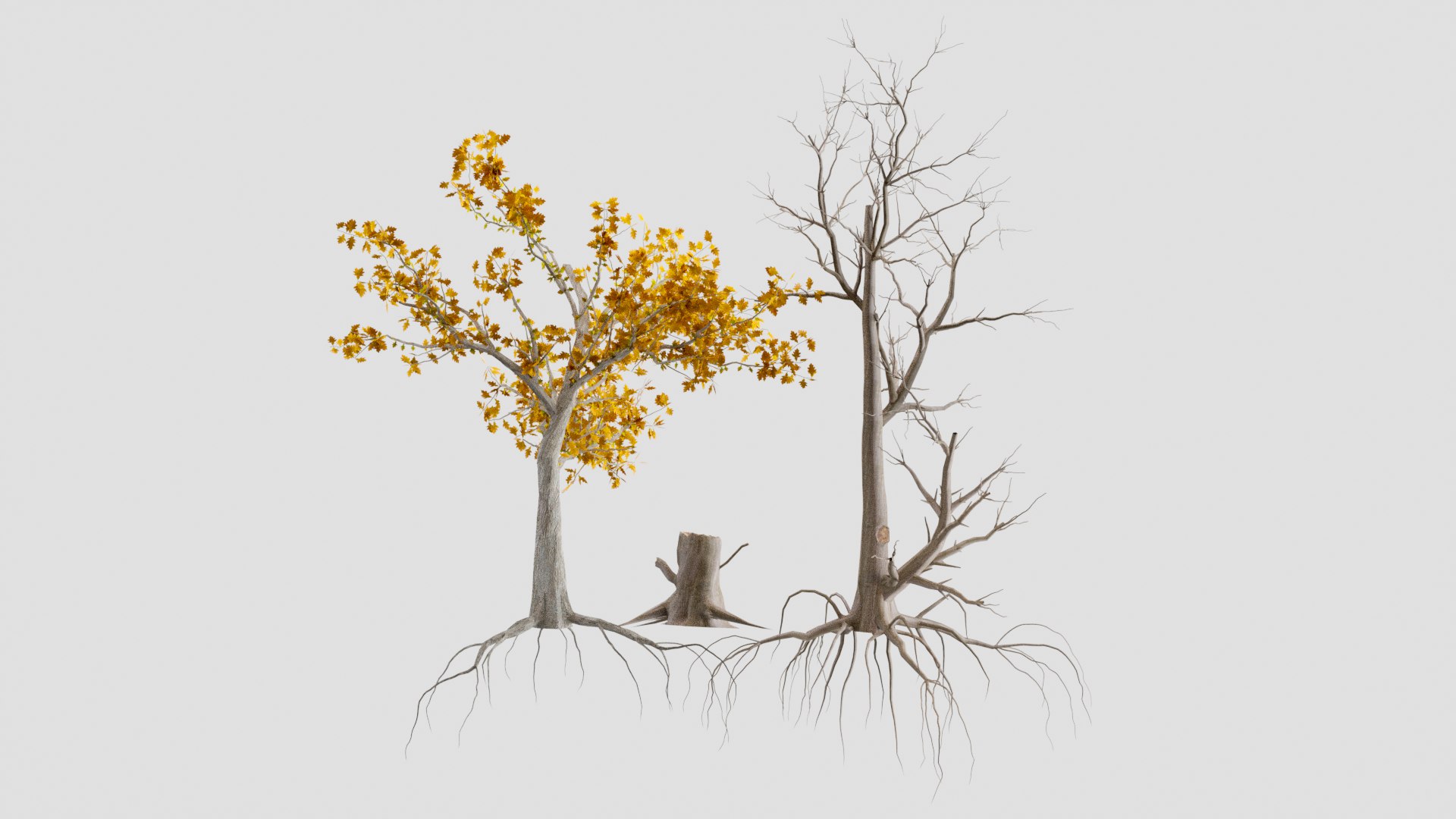 Winter Tree Pack Low Poly Model - TurboSquid 2223019