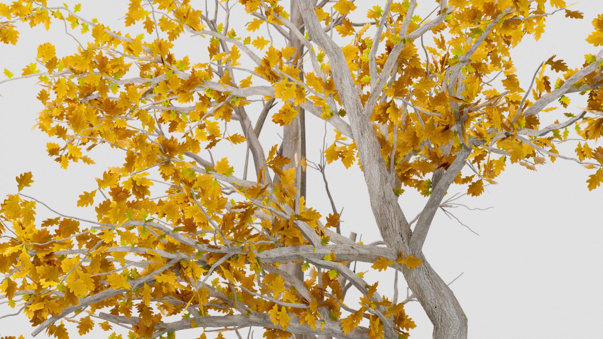 Winter Tree Pack Low Poly Model - TurboSquid 2223019
