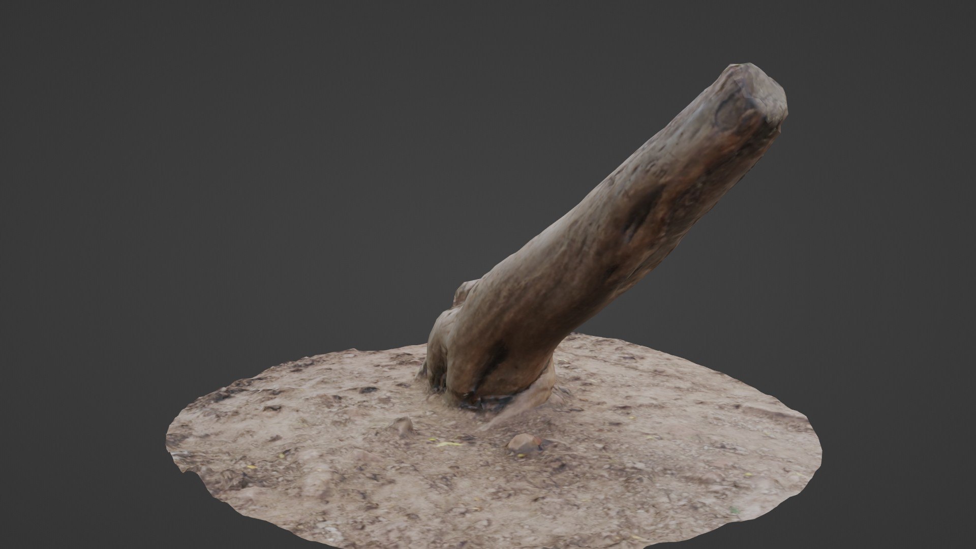 Scan Trunk 3D Model - TurboSquid 2329437