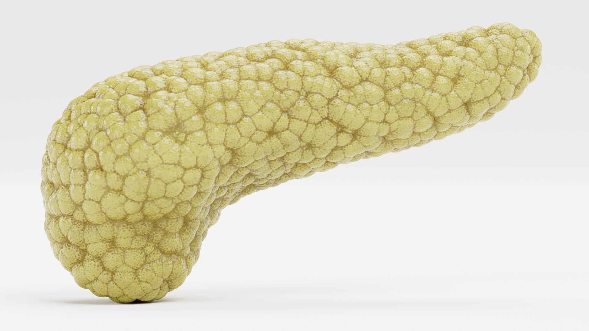 Pancreas 3D Model - TurboSquid 1752919