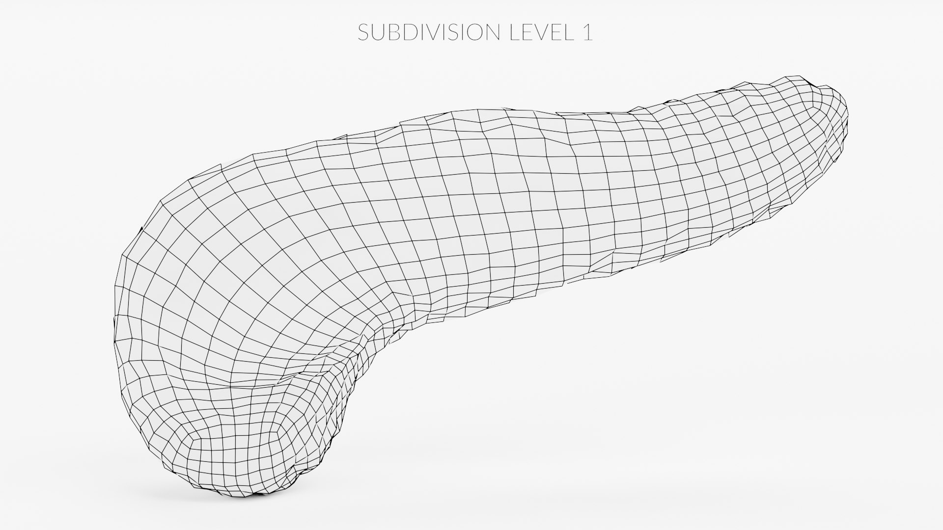 Pancreas 3D Model - TurboSquid 1752919