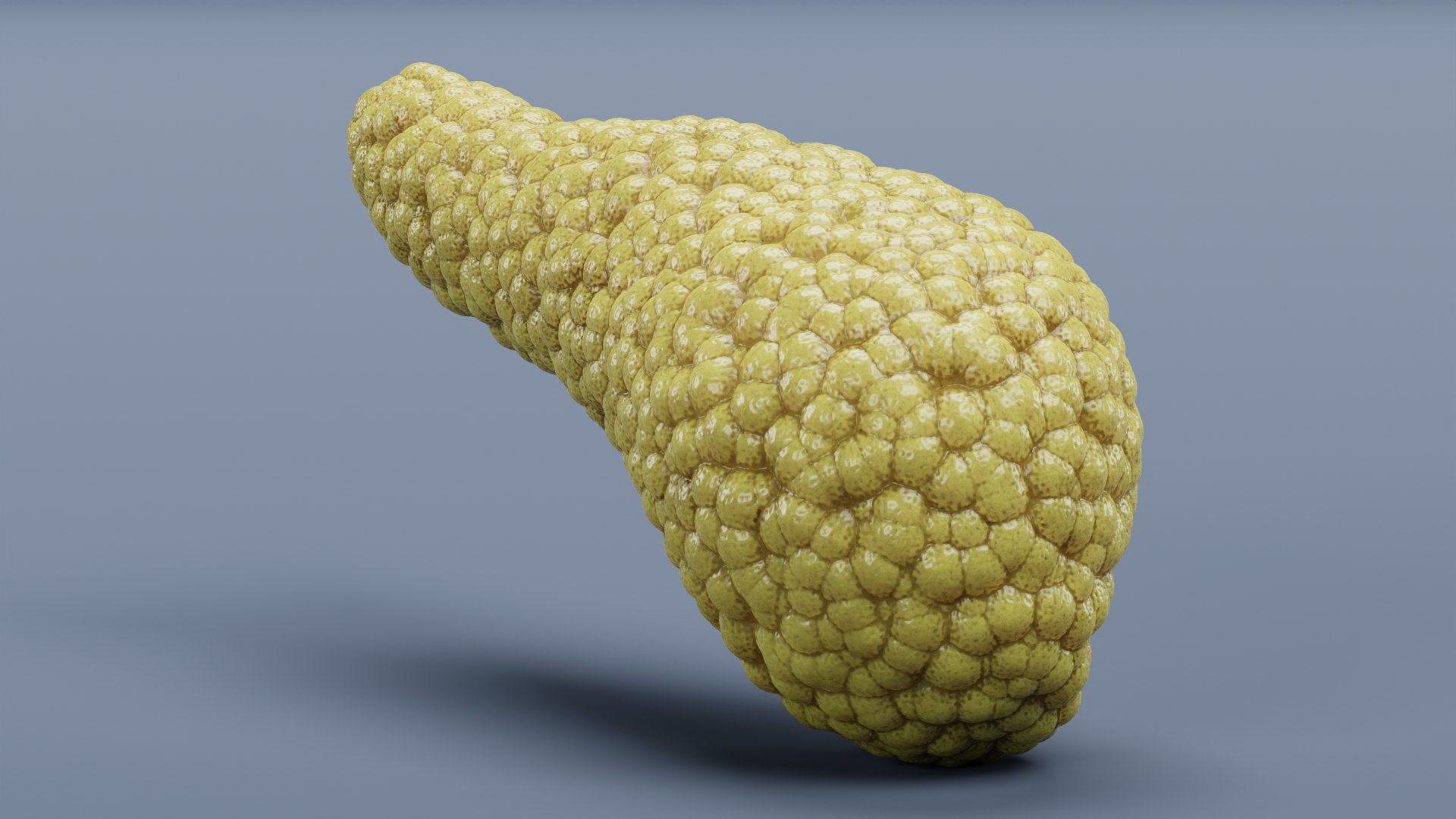 Pancreas 3D Model - TurboSquid 1752919