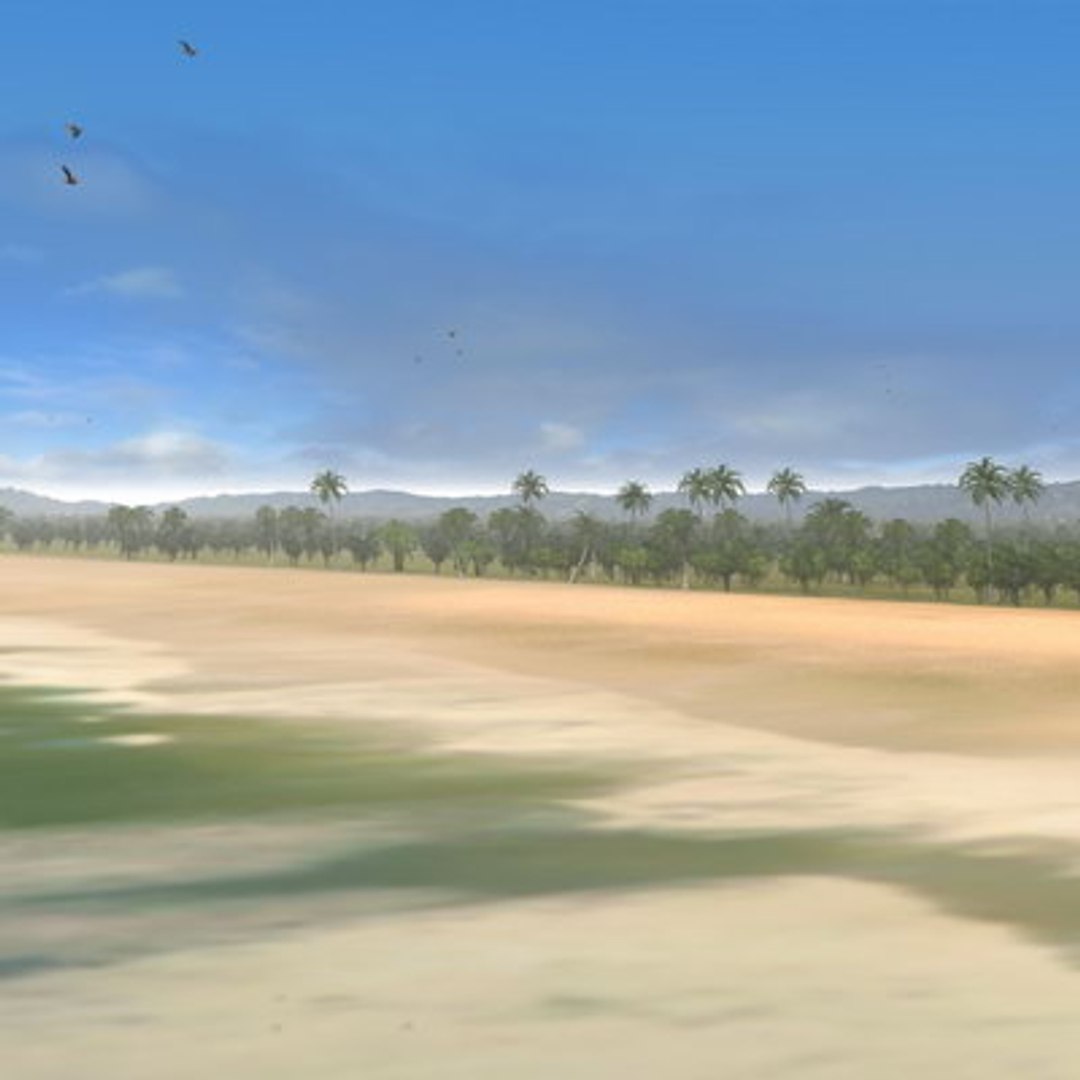 Beach Palms Sand 3d Max