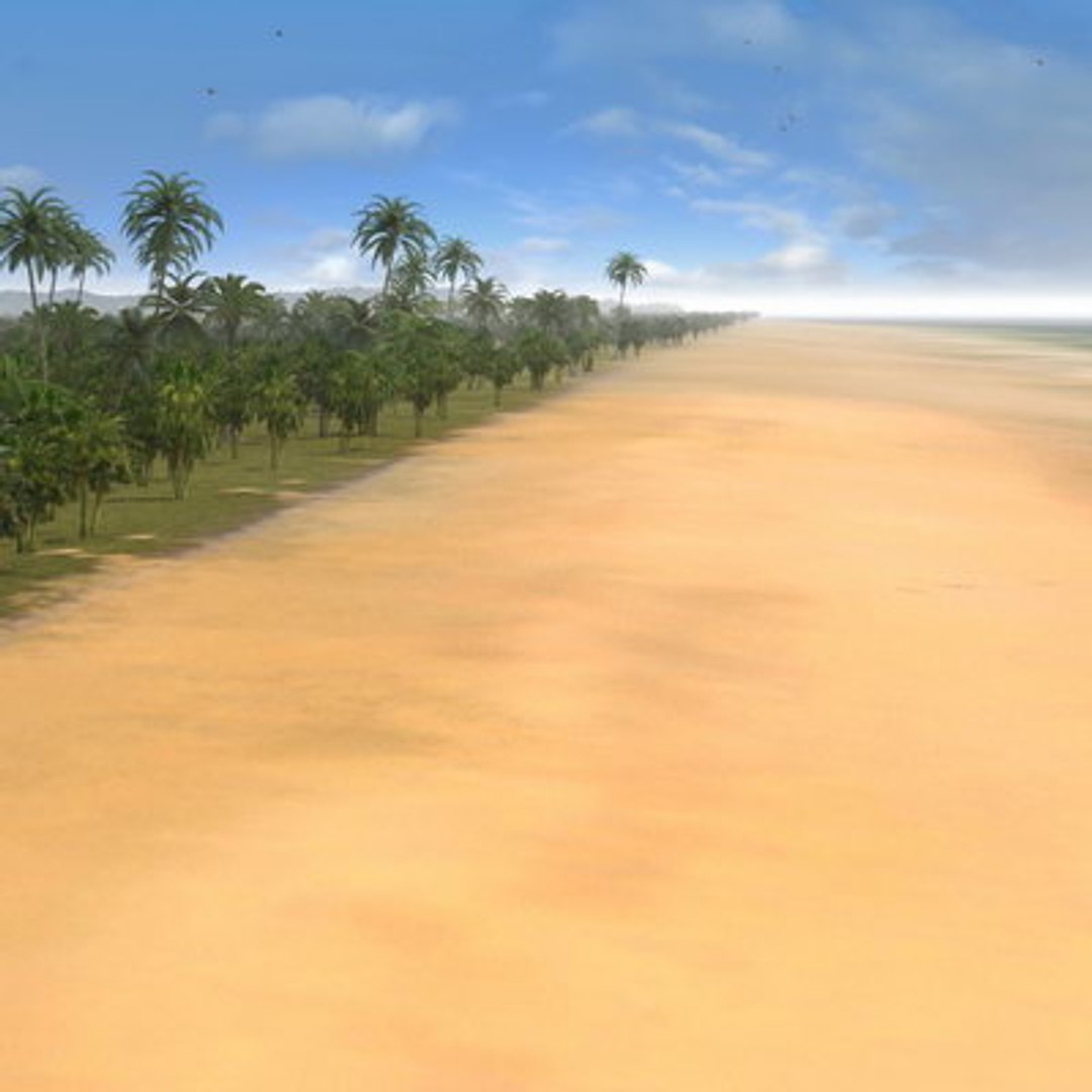 Beach Palms Sand 3d Max