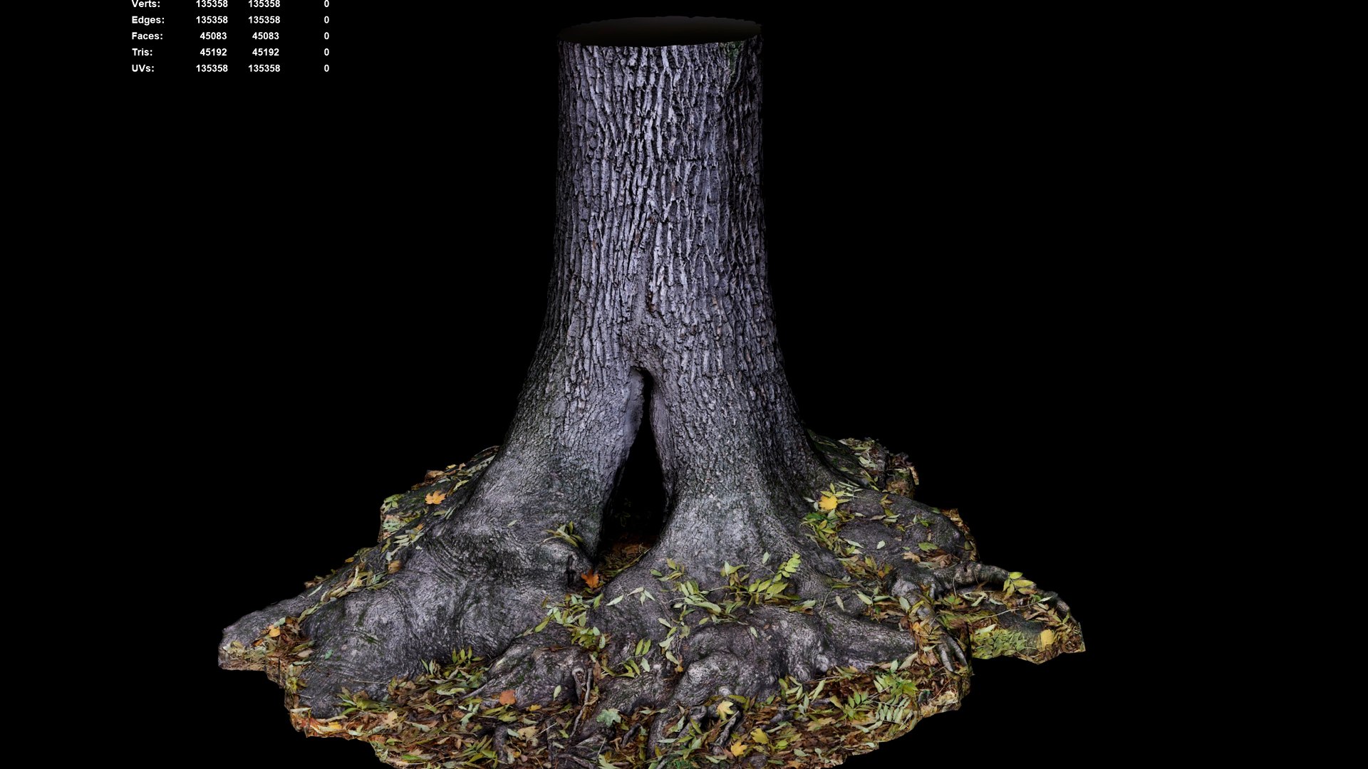 Tree Trunk Large Oak Wide Roots Ground Photogrammetry 3D Model ...
