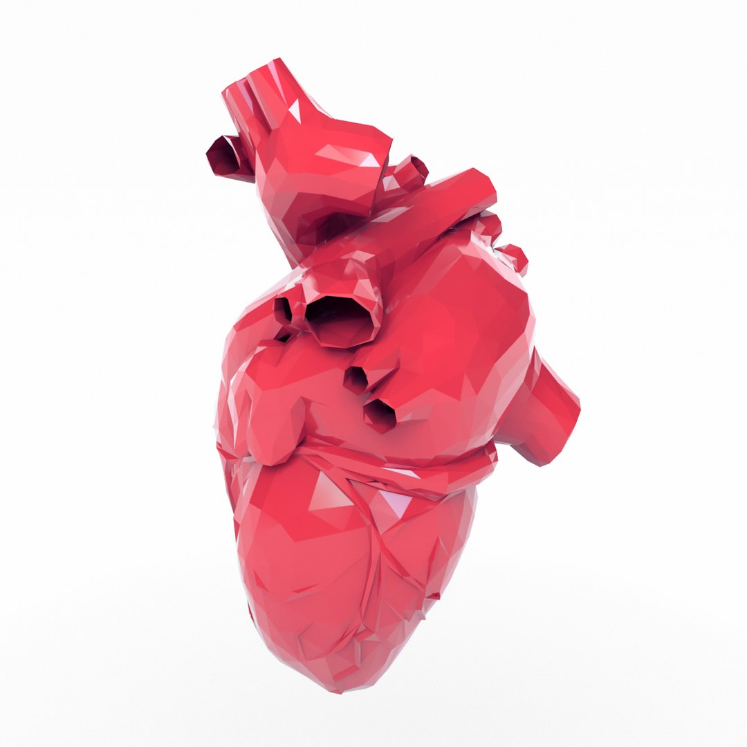 3D Heart - TurboSquid 1237256