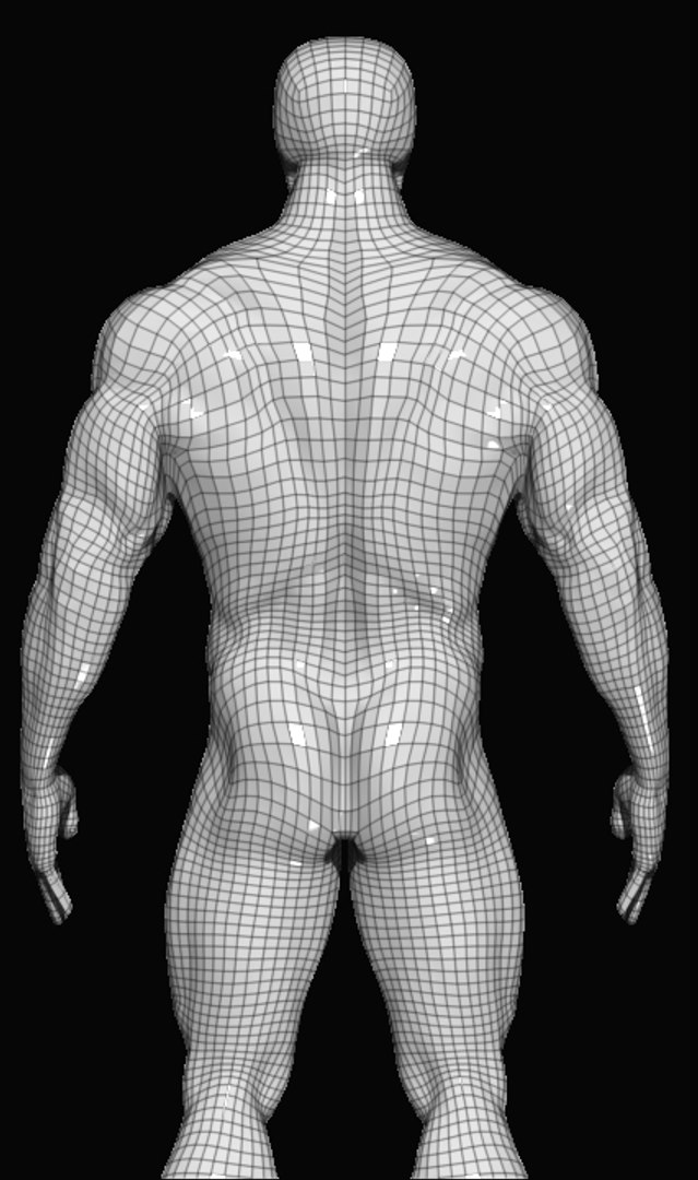 3D Realtime Houdini - TurboSquid 1537628