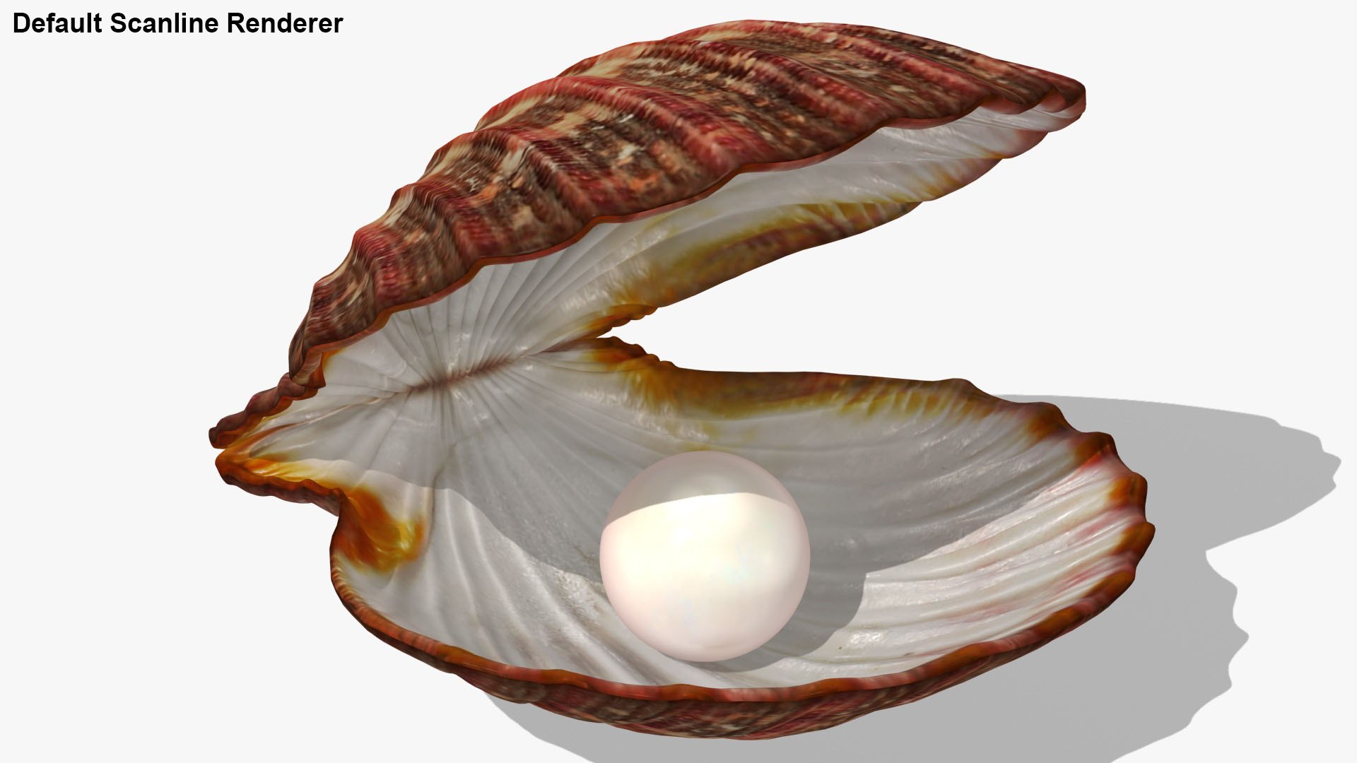 Clam Shell Pearl 3D Model - TurboSquid 1544998