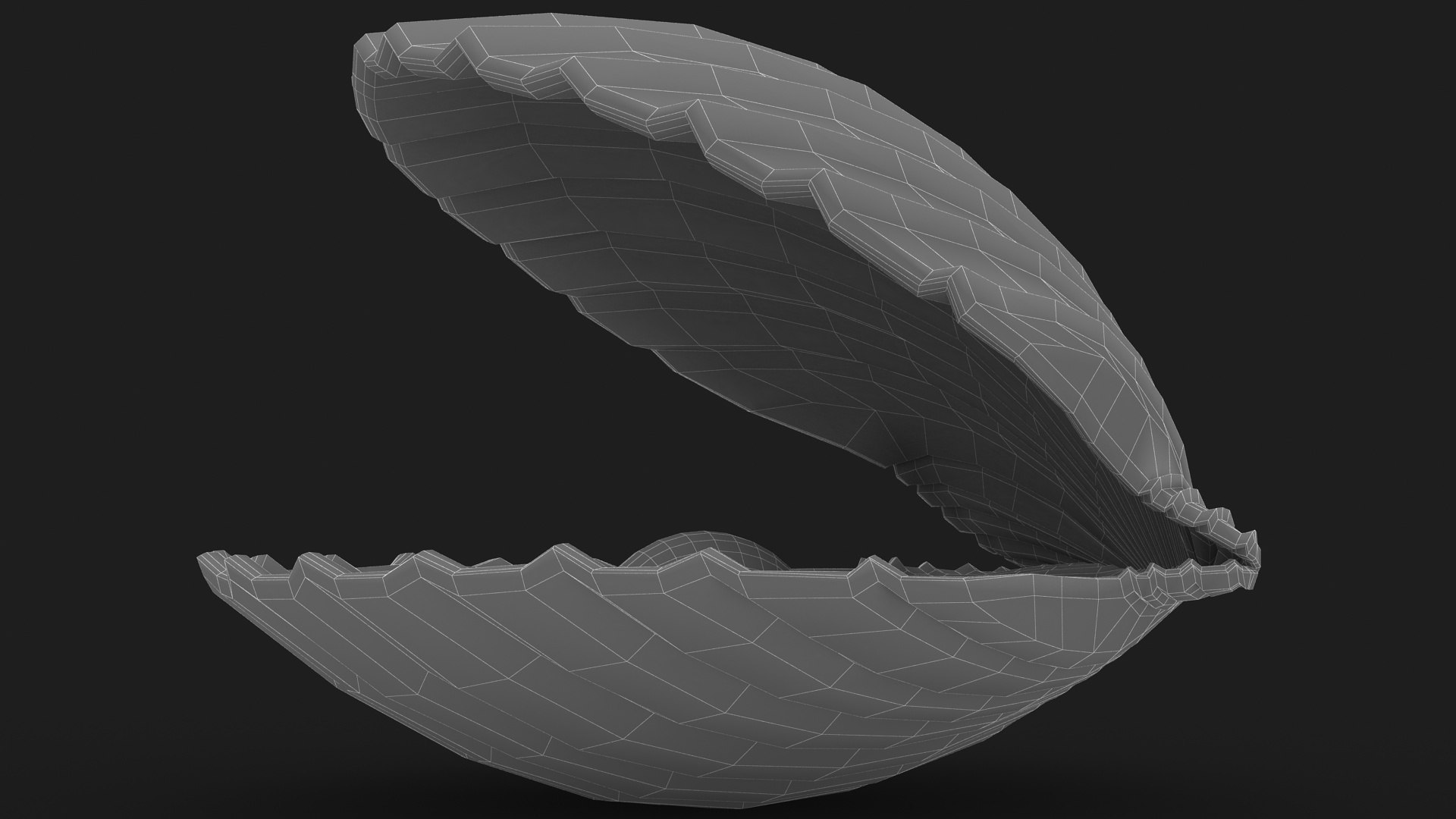 Clam shell pearl 3D model - TurboSquid 1544998