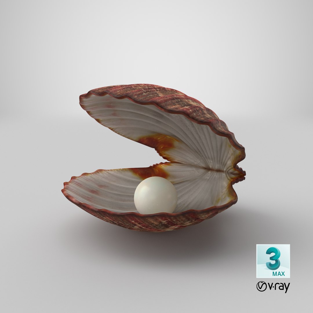 Clam Shell Pearl 3D Model - TurboSquid 1544998