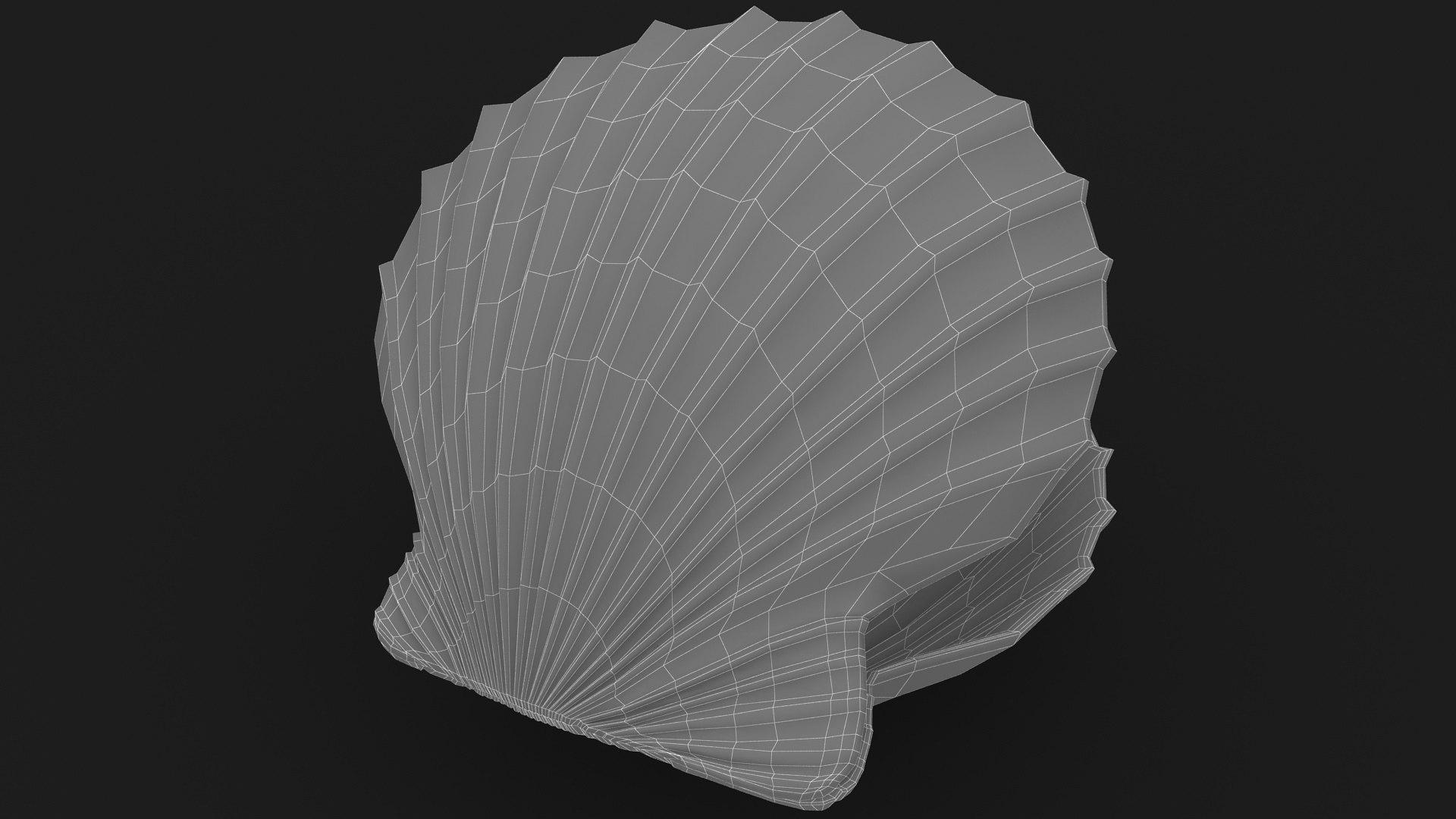 Clam shell pearl 3D model - TurboSquid 1544998