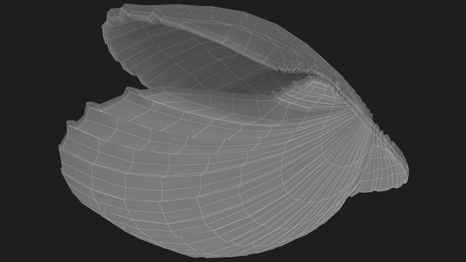 Clam shell pearl 3D model - TurboSquid 1544998