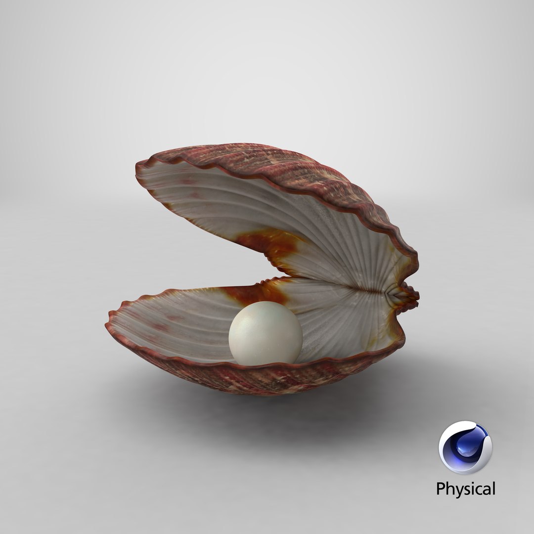Clam Shell Pearl 3D Model - TurboSquid 1544998