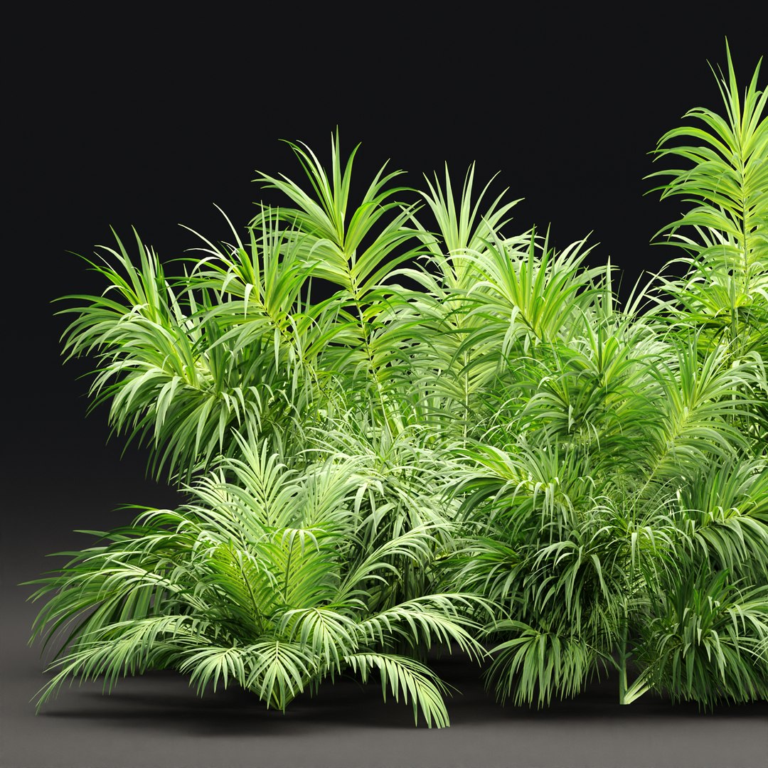 3D Plants Collection Vol 237 Model - TurboSquid 2139568